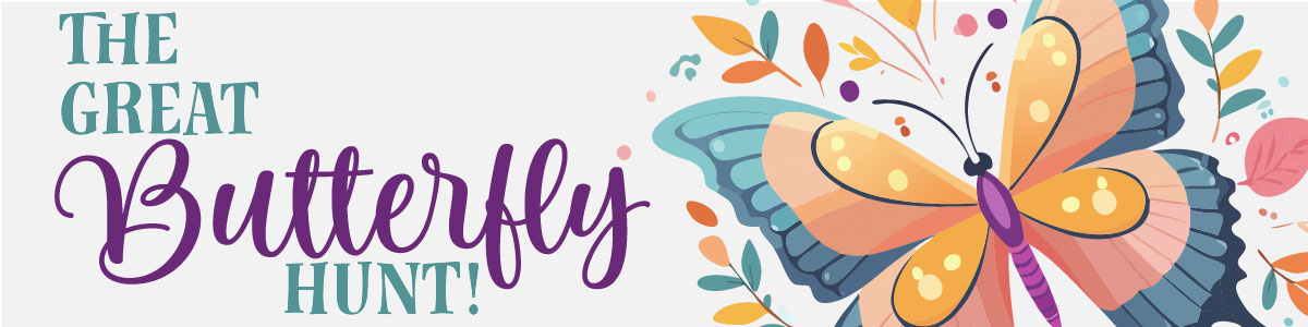 The Great Butterfly Hunt » City of Kalgoorlie-Boulder